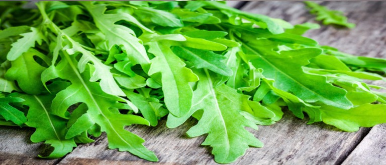 Rúcula: um vegetal rico em nutrientes vitais para a nossa saúde
